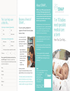 Fillable Online ssnap org 1 in 10 babies bSSNAPb need specialist ...