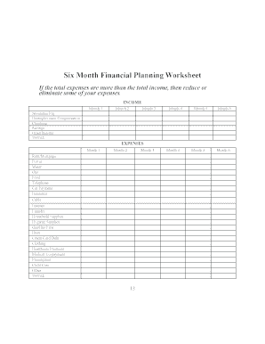 Fillable Online rx vegaspbs Six Month Financial Planning Worksheet Fax ...
