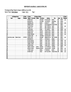 Fillable Online MINNESOTA BASEBALL ASSOCIATION, INC Final Approval ...