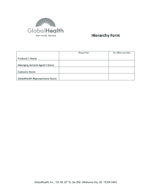 Fillable Online Hierarchy Form - GlobalHealth Fax Email Print - pdfFiller