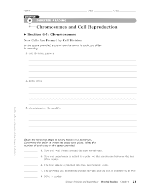 Fillable Online CHAPTER 6 DIRECTED READING Chromosomes and Cell ...