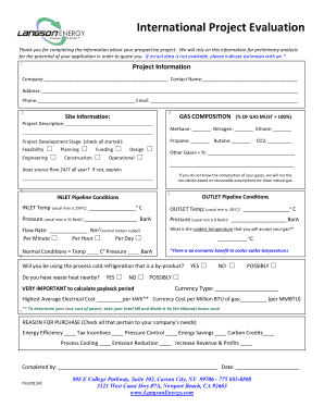 Fillable Online International Project Evaluation Form - Langson Energy ...