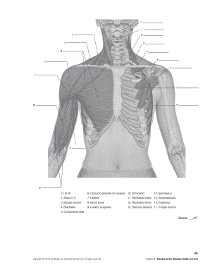 Fillable Online Workbook for Know the Body: Muscle, Bone, and ...