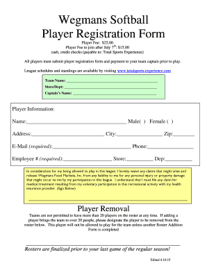 Fillable Online Wegmans Softball Player Registration Form Player Fee ...