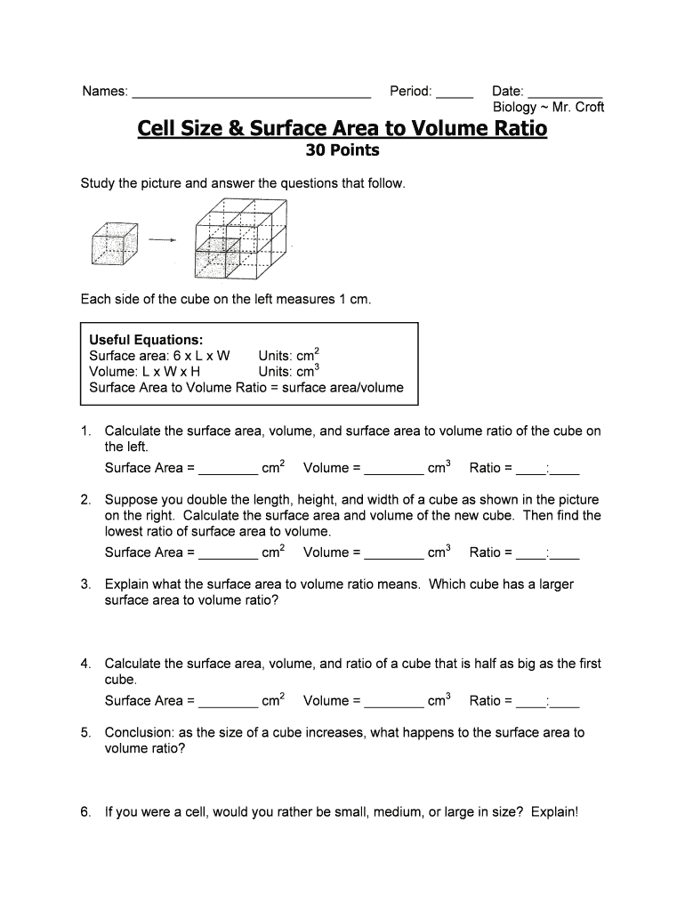 Fillable Online Cell Size & Surface Area to Volume Ratio - Mr. Croft ... Fillable Online Cell Size & Surface Area to Volume Ratio - Mr. Croft ...