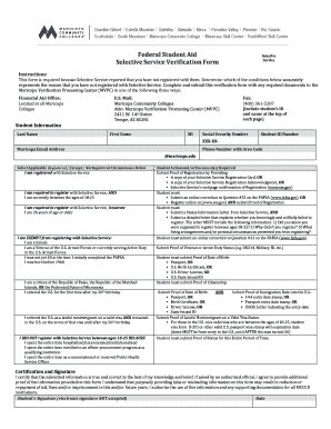 Fillable Online Federal Student Aid Selective Service Verification Form ...