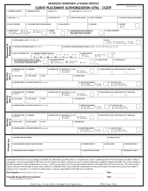 Fillable Online hennepinhealth Client placement bassessmentb form ...