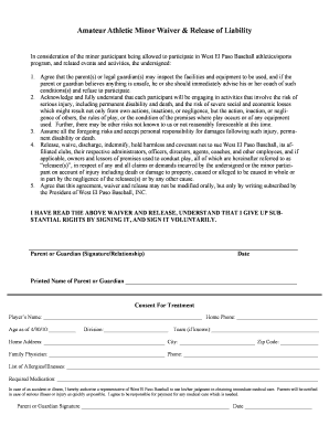 Fillable Online Amateur Athletic Minor Waiver & Release of Liability ...