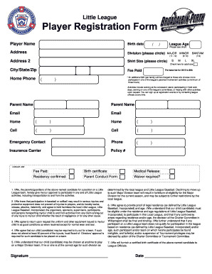 Fillable Online Little League Player Name Birth date Address / League ...