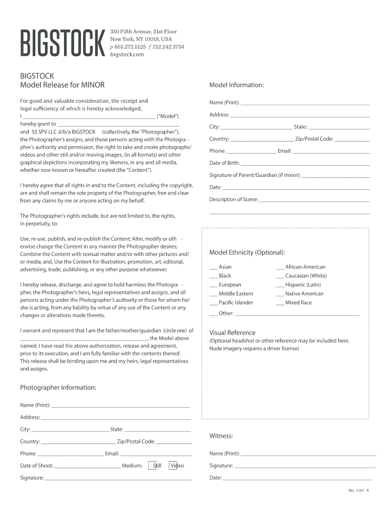Fillable Online BIGSTOCK Model Release for MINOR Model Information Fax ...
