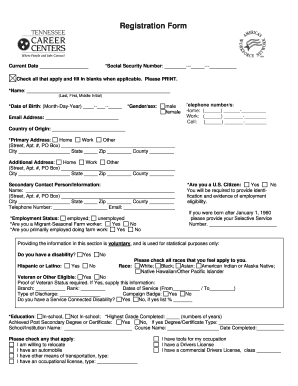 Fillable Online USA Visitor Visa Forms and Sample Downloads Fax Email ...