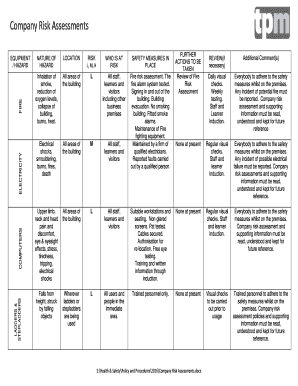 Fillable Online tpmnow co Company Risk Assessments - tpm - tpmnow co Fax Email Print - pdfFiller