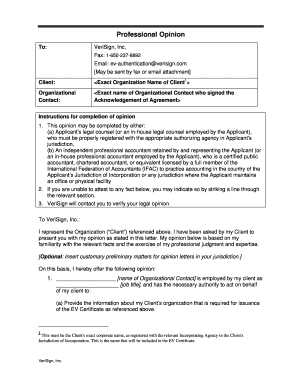 Fillable Online Professional Opinion Letter MPKIdoc Fax Email Print ...