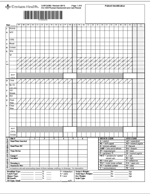 Fillable Online Patient Identification ICU Shift Physical Assessment ...
