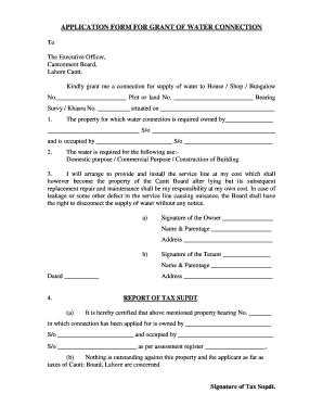 Fillable Online lcb gov Water Connection Form - blcbbbgovbbpkb - lcb ...