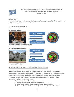 Fillable Online National Instant Criminal Background Check System (NICS ...