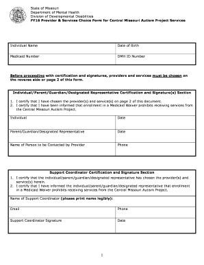 Fillable Online dmh mo CMAP Provider & Services Choice Form PDF ...