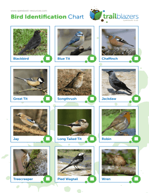 Fillable Online Bird Identification Chart Blackbird Blue Tit Chaffinch ...