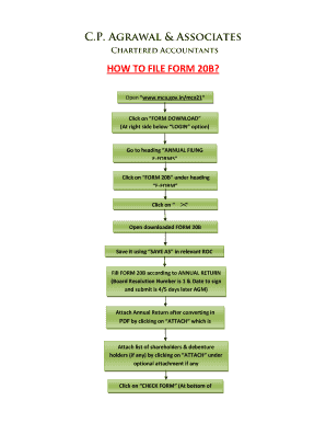 Fillable Online cacpa HOW TO FILE FORM 20B - CP Agrawal - cacpa Fax ...