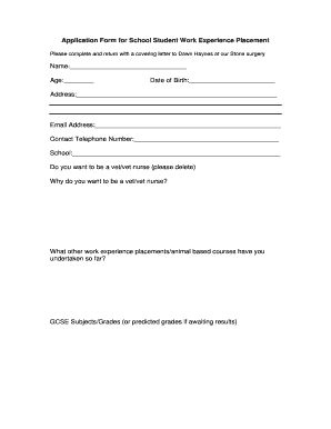 Fillable Online Application Form for School Student Work Experience ...