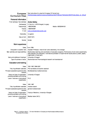 Fillable Online See instructions for using the Europass CV format here ...