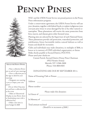 Fillable Online PENNY PINES - Second-District-FGCNYS Fax Email Print ...