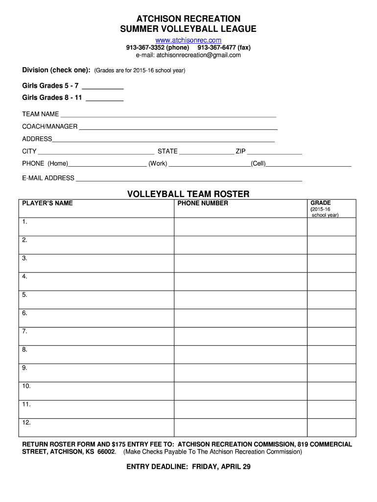 Fillable Online Printable Summer League Volleyball Roster Form 2016 Fax ...