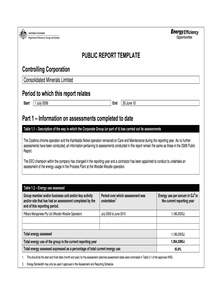 Fillable Online EEO Public Report Template-2010 Fax Email Print - pdfFiller