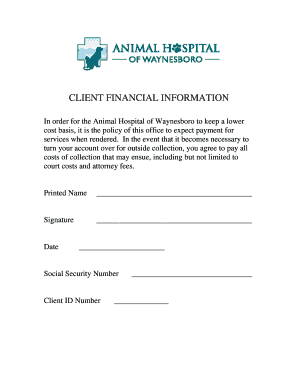 Fillable Online CLIENT FINANCIAL INFORMATION Fax Email Print - pdfFiller