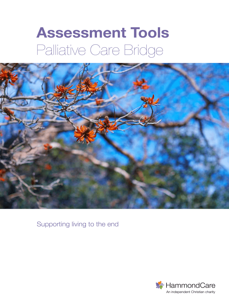 Fillable Online Assessment Tools Palliative Care Bridge - The ...