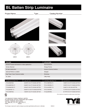Fillable Online BL Batten Strip Luminaire - TYE Manufacturing Fax Email ...