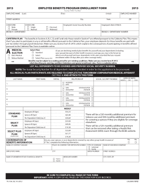 Fillable Online 2013 EMPLOYEE BENEFITS PROGRAM ENROLLMENT FORM ... Fax ...