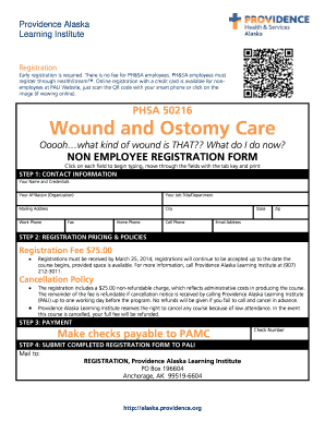 Fillable Online alaska providence Wound and Ostomy Care - Providence ...
