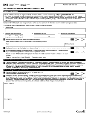 Fillable Online REGISTERED CHARITY INFORMATION RETURN - CCH Site ...