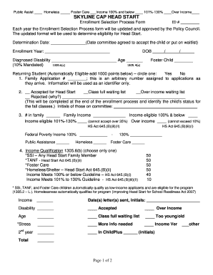 Fillable Online skylinecap Public Assist Homeless Foster Care Income ...