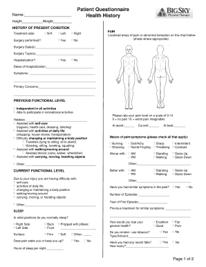 Fillable Online Patient Questionnaire - Big Sky Physical Therapy Fax ...