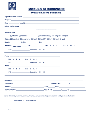 Fillable Online MODULO DI ISCRIZIONE - sas-italia.com Fax Email Print ...