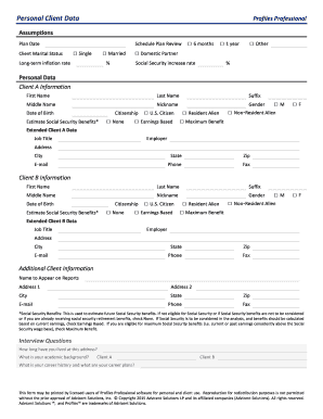 Fillable Online Personal Client Data Profiles Professional This form ...