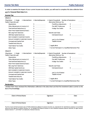 Fillable Online Income Tax Data Profiles Professional - dp-financial ...