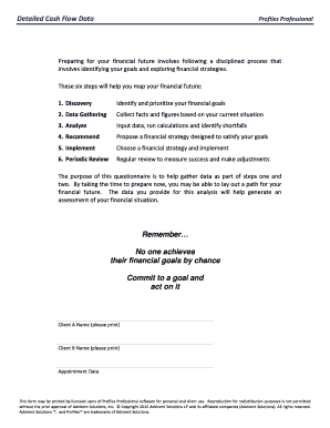 Fillable Online Detailed Cash Flow Data Profiles Professional This form ...