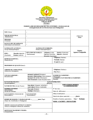 Fillable Online flesch-rothe FORMULAIRE DE DEMANDE DE VISA DENTREE A ...