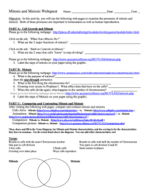 Mitosis And Meiosis Webquest Venn Diagram Answers Mitosis Vs
