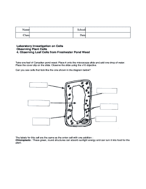 Fillable Online Laboratory Investigation on Cells Observing Plant Cells ...