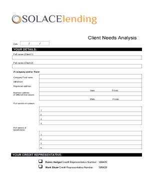 Fillable Online Client Needs Analysis - Solace Lending Fax Email Print ...