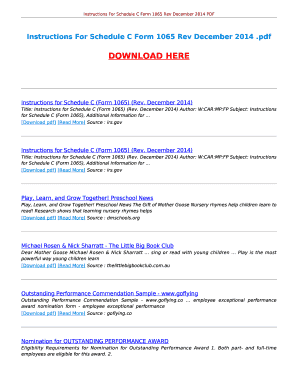 Fillable Online INSTRUCTIONS FOR SCHEDULE C FORM 1065 REV DECEMBER 2014 ...