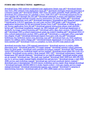 Fillable Online 8dd0919 FORM 1003 INSTRUCTIONS. FORM 1003 INSTRUCTIONS ...