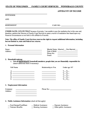 Fillable Online co winnebago wi AFFIDAVIT OF INCOME Fax Email Print - pdfFiller