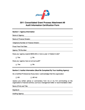Fillable Online pdf plano Audit Information Certification Form Fax ...