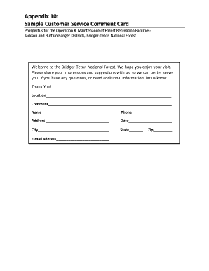 Fillable Online nfra Appendix 10: Sample Customer Service Comment Card ...