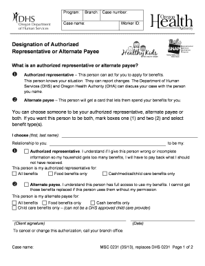 Fillable Online apps state or Designation of Authorized Representative ...
